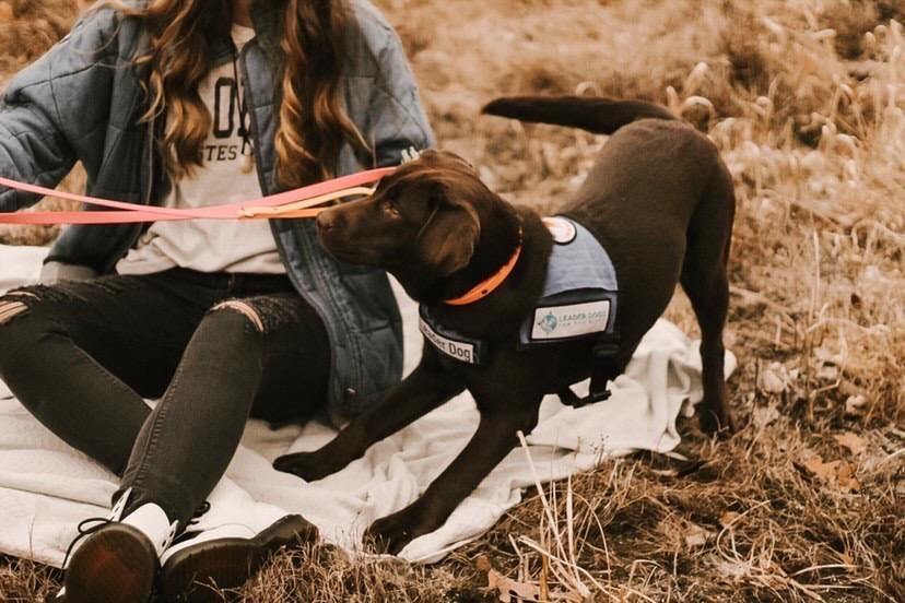 Helping Dogs Help People – Contigo Dogs