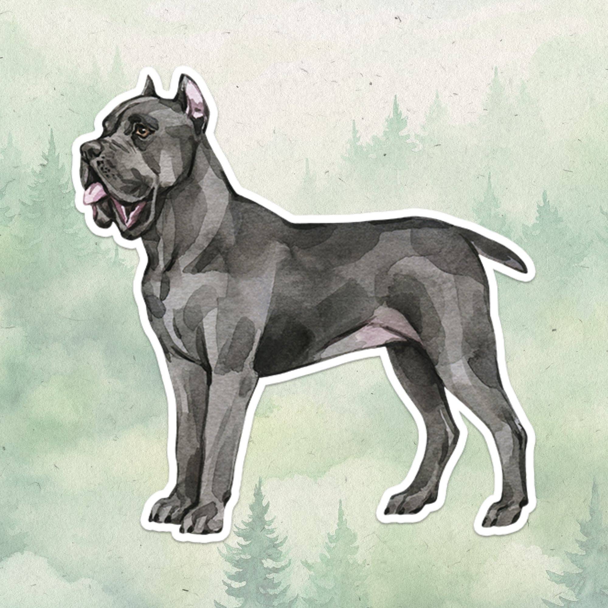 Cane Corso sticker – Contigo Dogs