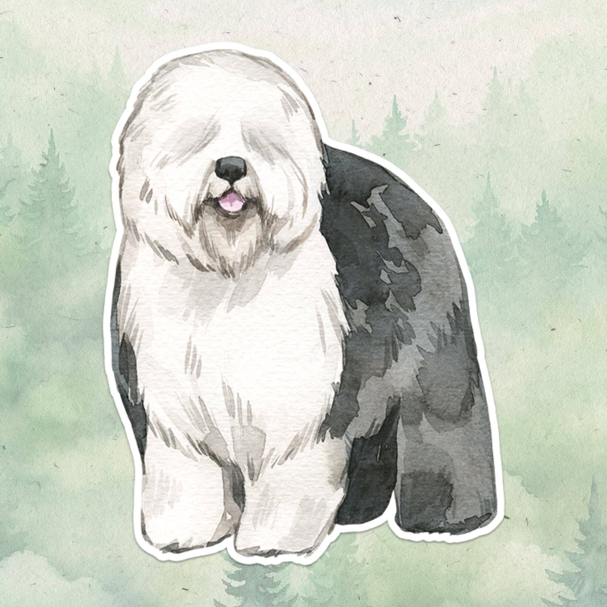 Old English Sheepdog sticker – Contigo Dogs