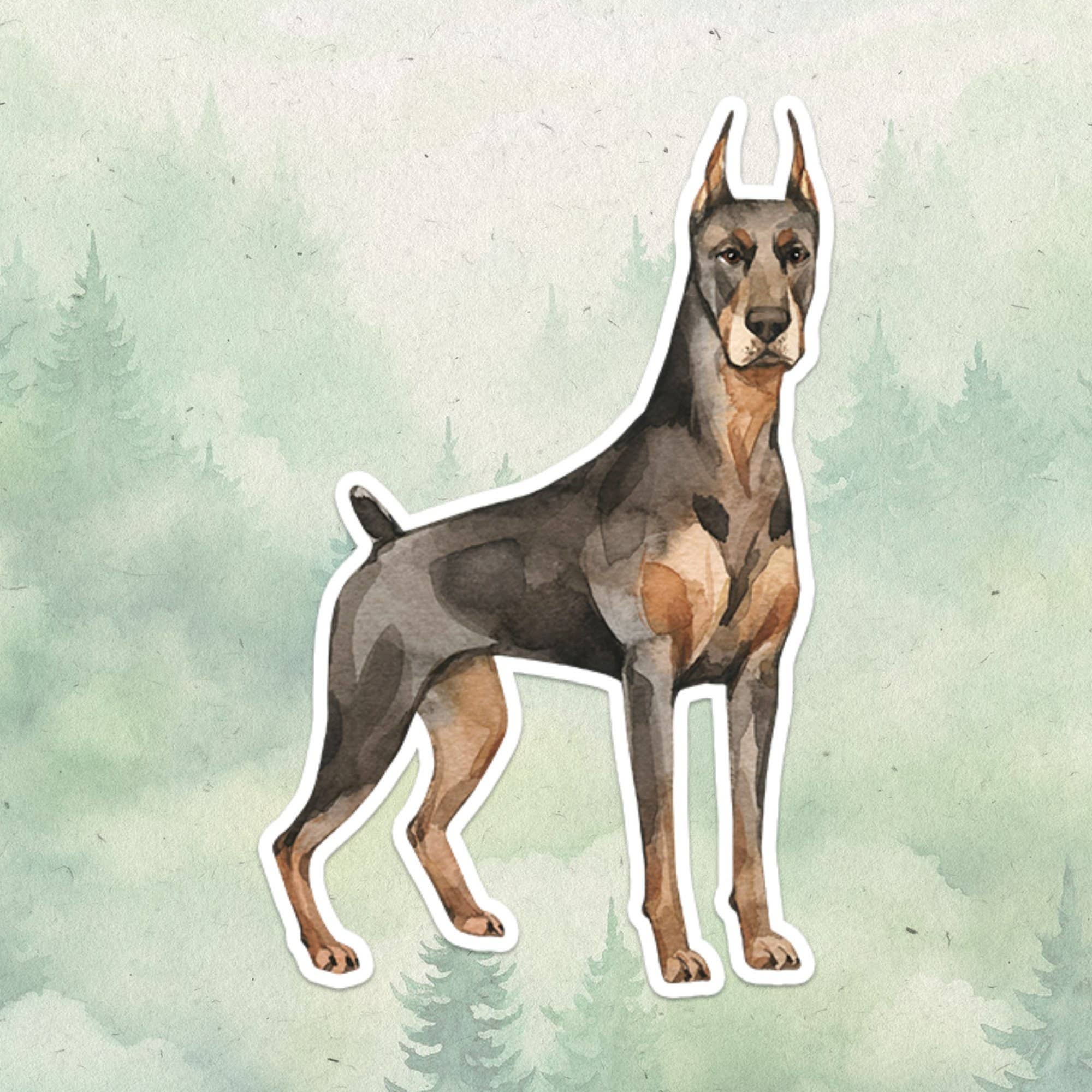 Doberman sticker – Contigo Dogs