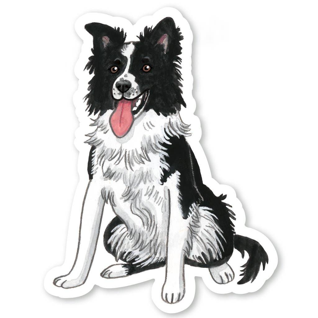 Border Collie Sticker – Contigo Dogs