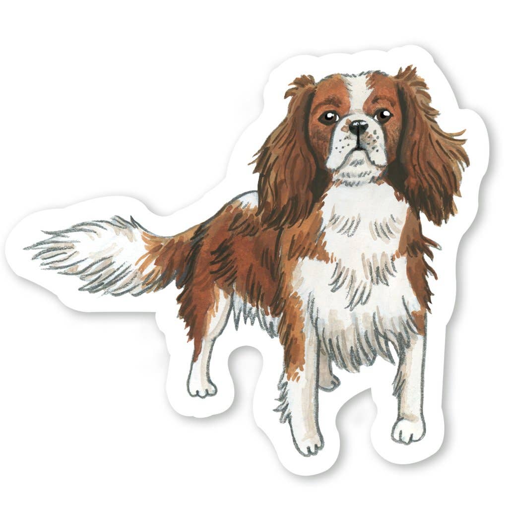 Cavalier King Charles Sticker – Contigo Dogs